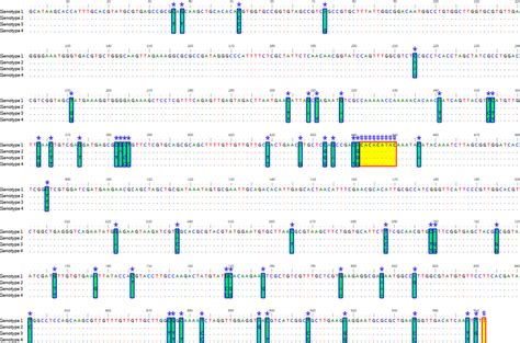 Comparison Of The Consensus Nucleotide Sequences Of The Its Region Of