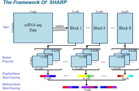 Wan Lab Publications