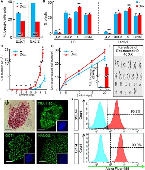 Doxycycline Enhances Survival And Self Renewal Of Human Pluripotent