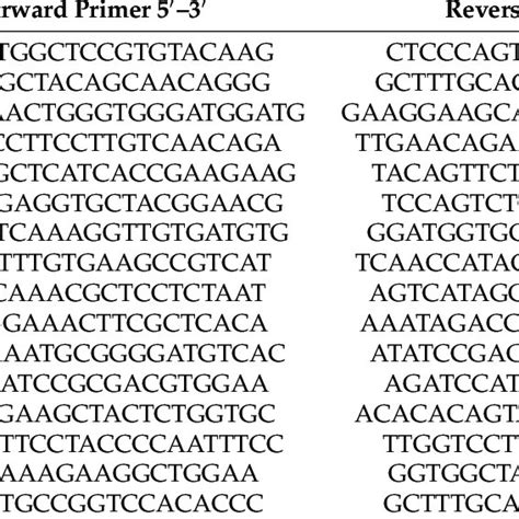 Quantitative Real Time Pcr Primer Sequences Download Scientific Diagram