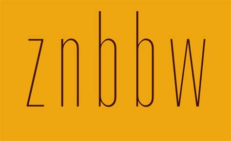 Znbbw Uniform Erotic Lingerie Sexy Costumes Flight Attendant Costume Sex Cosplay Anime Police