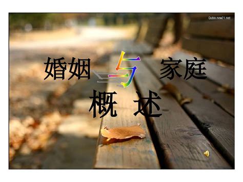 婚姻与家庭word文档免费下载亿佰文档网