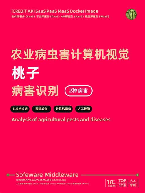 人工智能ai：农业病虫害计算机视觉 桃子病害识别（2种病害） Csdn博客