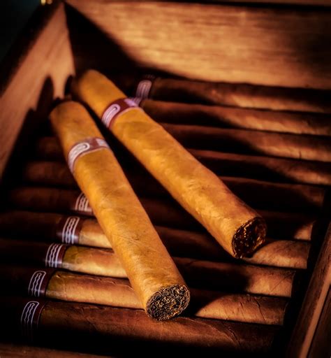 Die Besten Milden Zigarren Empfehlungen Von World Of Smoke