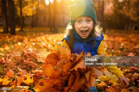 아름다운 태양광선이 나무를 통해 떨어지는 일몰에 황금 공원에서 마른 타락 한 가을 단풍 나무와 놀고 화려한 옷을 입고 사랑스러운 쾌활한 아기 소녀의 감정적 인 라이프 스타일