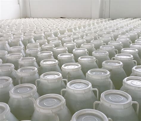 Hydroxyl Terminated Polybutadiene Htpb