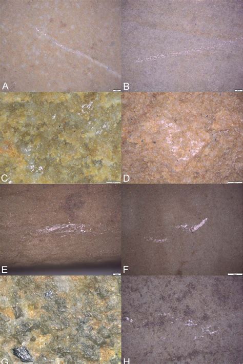 Metallic Scratches In Optical Microscope View Hulín Pravčice Grave