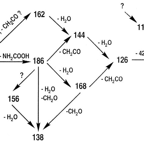 Main Decomposition Pathways Of The Oxonium Ion From The Download