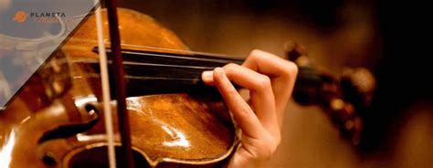 Cuántos 【tipos De Violines】 Existen Y Cuáles Son