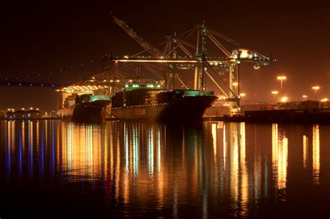 Pests Of The Ports Next City
