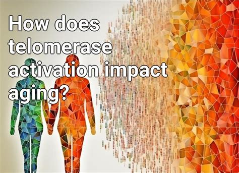 How Does Telomerase Activation Impact Aging Lifeextension Gov Capital