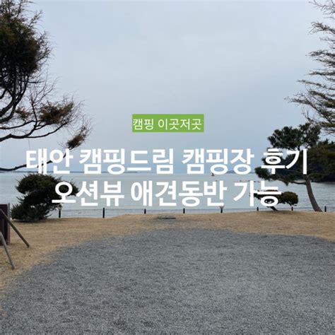 태안 캠핑드림 캠핑장 오션뷰 애견동반 가능 프리미엄 캠핑장a사이트 네이버 블로그