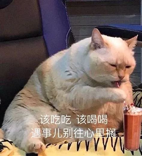 即霸气又沙雕的名字南波万 尺子