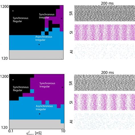 Structure And Dynamics Of The Cortical Column Model A Schematics Of