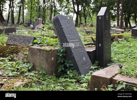 Zaliakalnio Zydu Senosios Kapines Hi Res Stock Photography And Images Alamy