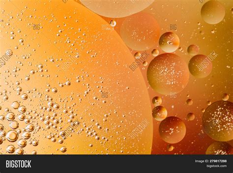 Macro Shot Backlit Image And Photo Free Trial Bigstock