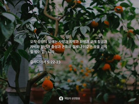 판교신우회 [갈5] 💎 육체의 일과 성령의 열매 16 내가 이르노니 너희는 성령을 따라 행하라