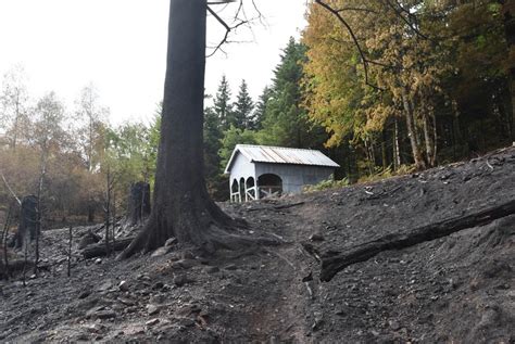 20220817 Le Ménil Feu De Forêt Le Lactualité