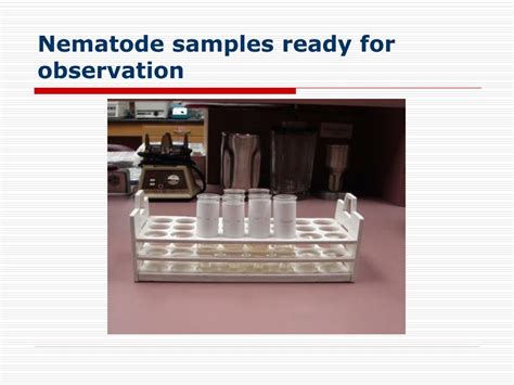 Ppt Nematode Extraction Methods Root Extraction Techniques