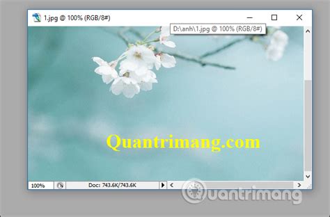 Cách xóa chữ trên ảnh bằng Photoshop Sử dụng công cụ xóa chữ