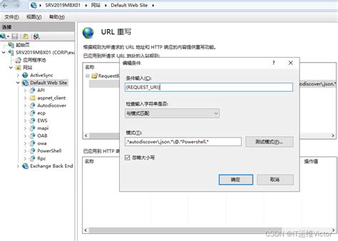 微软Exchange Server 0Day漏洞尽快修复 cve 2022 41040 IT运维Victor的博客 CSDN博客