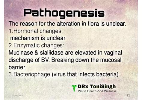 Bacterial Vaginosis Bv Pdf