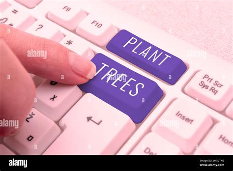 Handwriting Text Plant Trees Conceptual Photo Process Of Planting A Tree For Land Cultivation