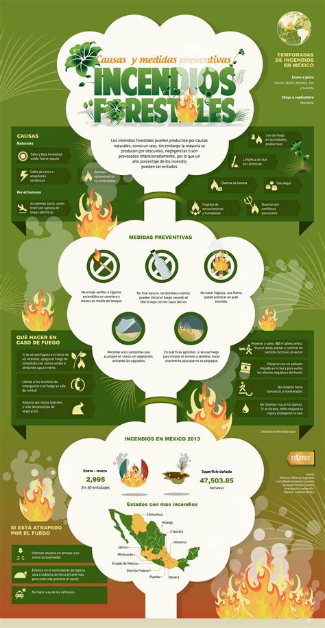 Causas Y Prevención De Incendios Forestales Maquetas De Incendios