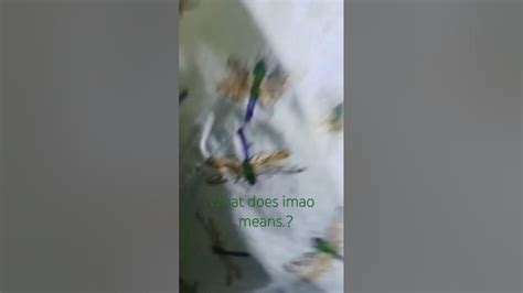 There Is So Much Flyies Pls Get Out Youtube