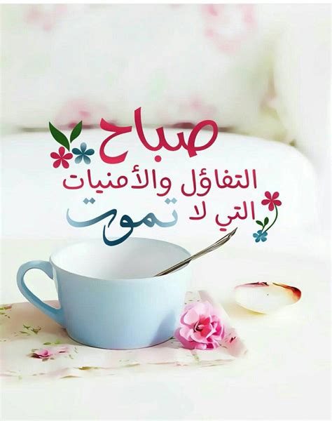 صوره فل Tsc Saudi
