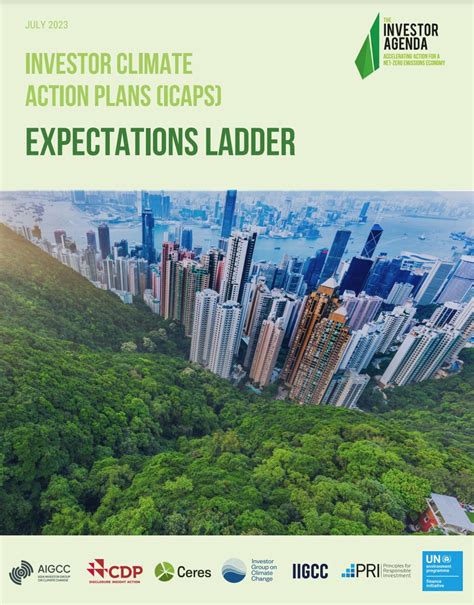 Nady Mahmoud Posted On Linkedin