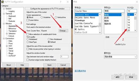 Putty 设置永久更改字体大小 知乎