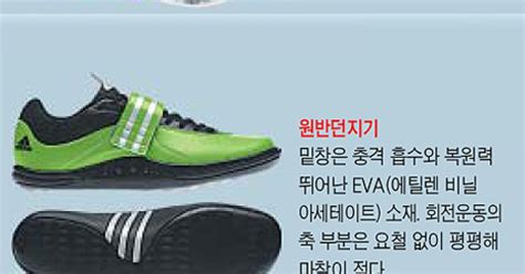 대구 세계육상선수권 D 5 재미있는 육상―육상화의 비밀