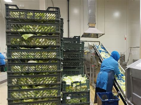 Тюменский завод салатных смесей приостановил экспансию из за ключевой ставки Деловой квартал