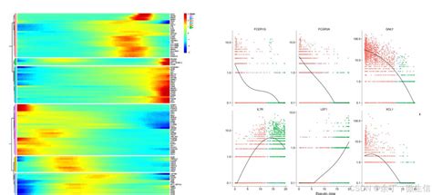 单细胞数据能解答哪些生物学问题？——进阶单细胞分析clu单细胞测序分析中是什么意思 Csdn博客