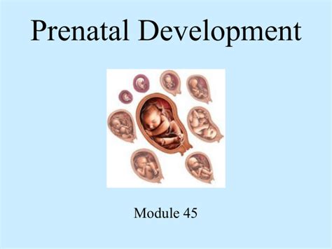 Module 45 Genetics And Prenatal Powerpoint
