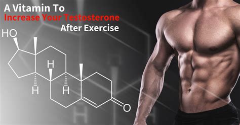 A Vitamin To Increase Your Testosterone After Exercise Dr Sam Robbins