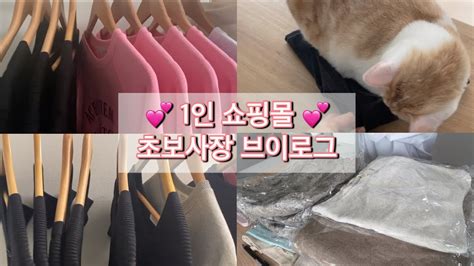 🌸초보사장 브이로그🌸 1인 쇼핑몰 지그재그 에이블리 고양이와 함께하는 일상 포장 Asmr Youtube