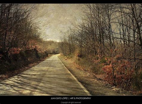 Caminos Paths Country Roads Road Paths