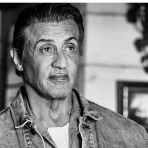 Sylvester Stallone Cumple 73 Años La Estrella Que Pasó De Actuar En
