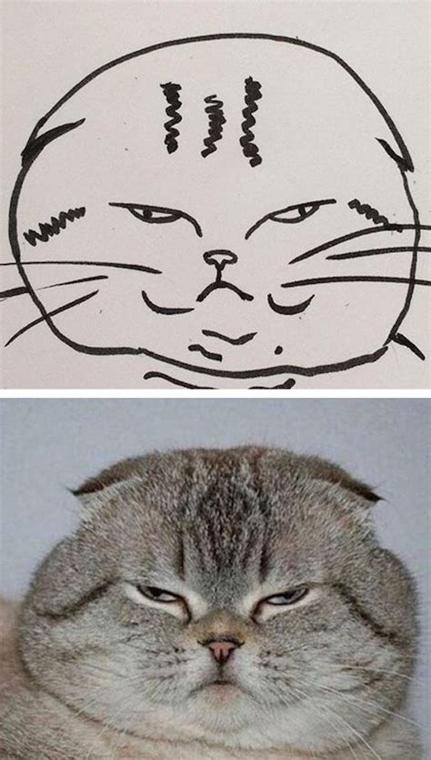 15 Minimalist Cat Drawings That Are Hilarious But Totally Accurate