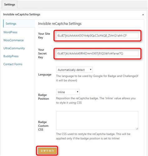 Wordpress Recaptcha V Brainote