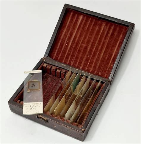 Microscope Slides In Case Curious Science