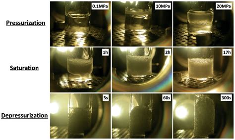 Acs Symposium Series Acs Publications