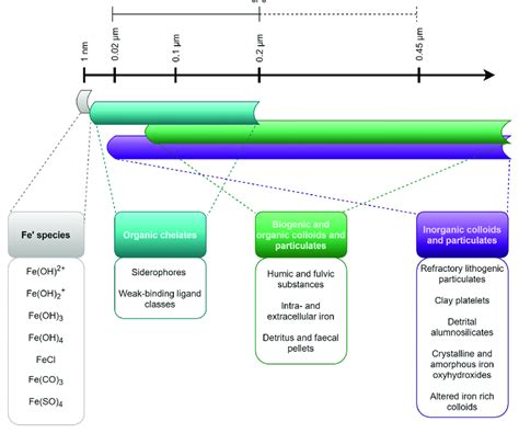 The Operationally Defined Size Fractions Of Iron In The Ocean Sizes Of Download Scientific