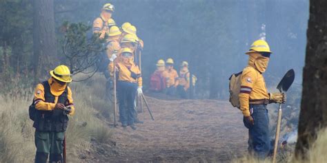 Incendios Forestales Amlo Confirma Cuatro Muertos Hay 116 Eventos En