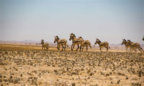 Erongo Region Namibias Coastal And Inland Attractions