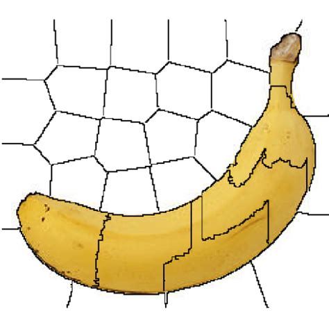 Explaining Keras Image Classification Models With Lime Datascience