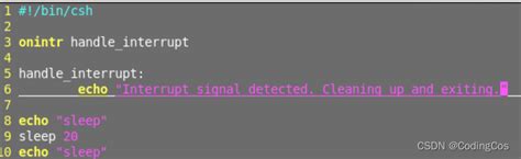 Csh 入门基础 3 Csh（c Shell）“onintr” 命令使用介绍shell脚本onintr Csdn博客