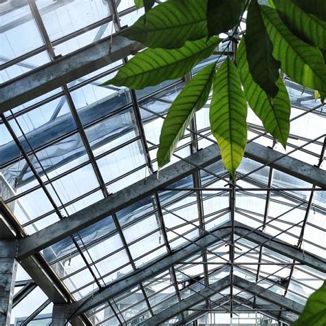 Galvanized Steel Framed Greenhouse With Tempered Glass Panels Glass